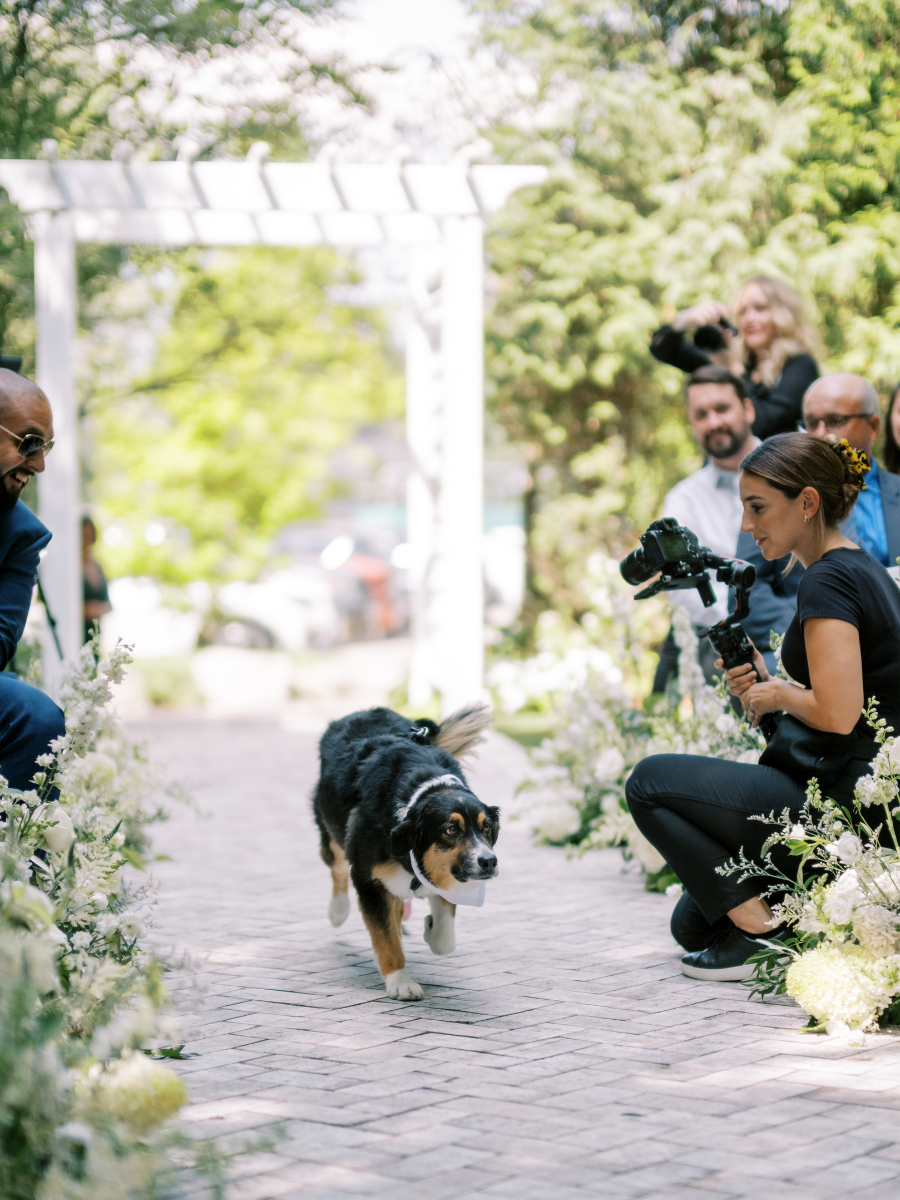 Classic Ancaster Mill Wedding - Forever Wildfield Blog