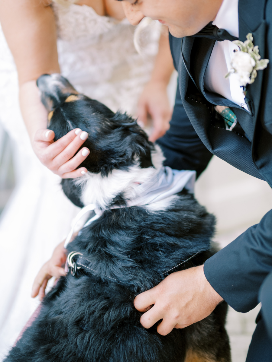 Classic Ancaster Mill Wedding - Forever Wildfield Blog