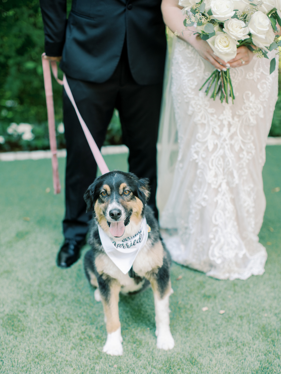 Classic Ancaster Mill Wedding - Forever Wildfield Blog